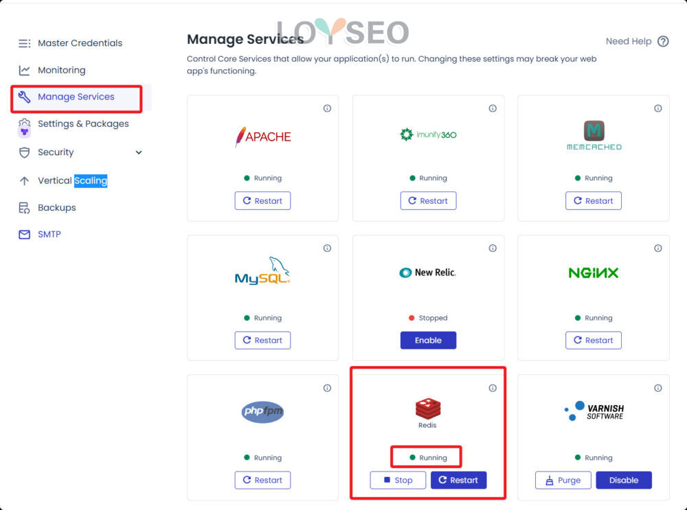 Cloudways教程 | 2025更新 - LOYSEO