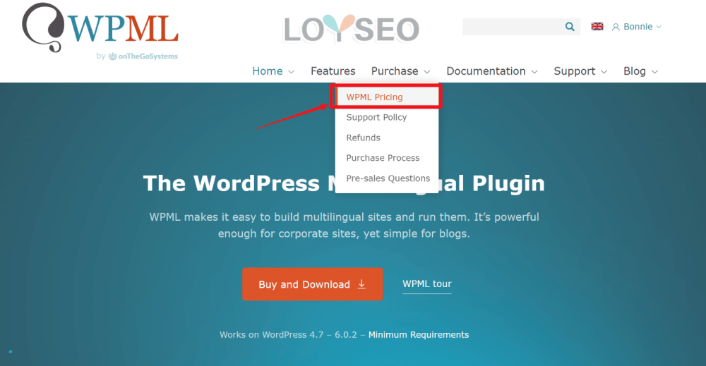 WPML教程，36分钟入门：如何实现网站多语言以获取更多客户 - LOYSEO