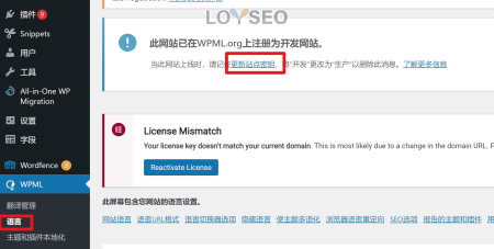 WPML教程，36分钟入门：如何实现网站多语言以获取更多客户 - LOYSEO