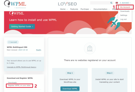 WPML教程，36分钟入门：如何实现网站多语言以获取更多客户 - LOYSEO
