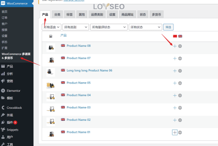 WPML教程，36分钟入门：如何实现网站多语言以获取更多客户 - LOYSEO
